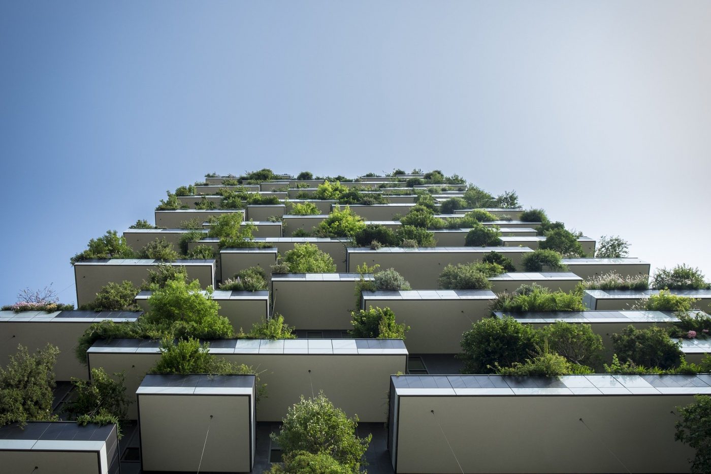 Bigger is Greener: The Environmental Benefits of High-Density Housing ...